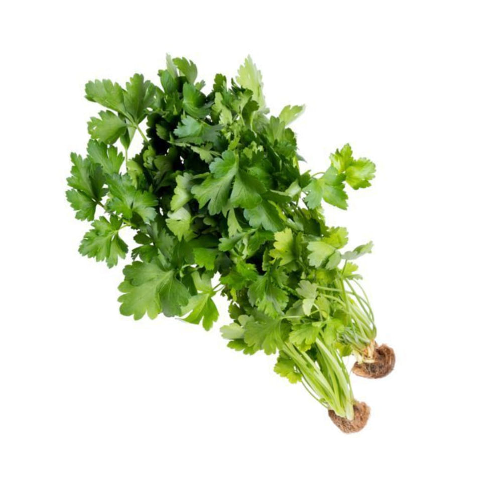 Salsa Chácara Boa Vista Hidropônica | Fresco | Bretasatacarejo